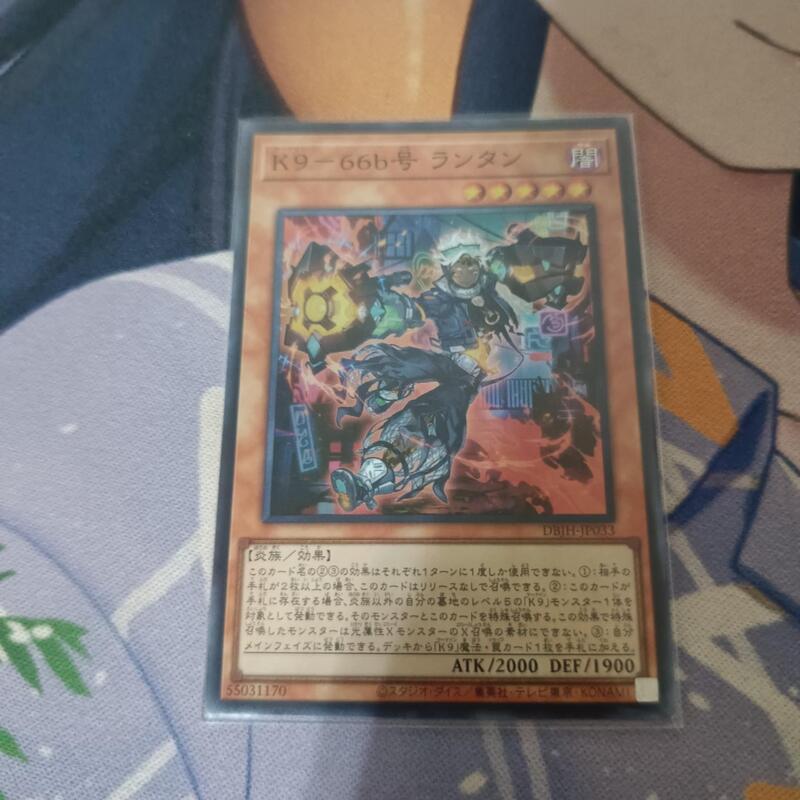 DBJH-JP033 K9-66b號 燈籠 亮面 | 露天市集 | 全台最大的網路購物市集