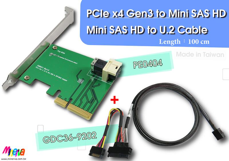 PCIex4 Gen3 to Mini SAS HD + Mini SAS HD to U.2 cable,100cm | 露天市集 | 全台 ...