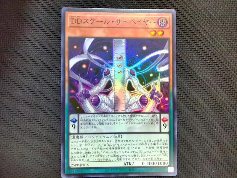 (新世界) 25PP-JP015 DD 刻度測量者 亮面 99-95分 | 露天市集 | 全台最大的網路購物市集