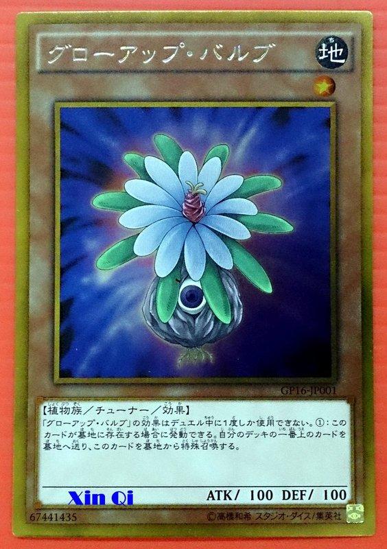 【Xin Qi】遊戲王 日製 GP16-JP001 成長的鱗莖 成長球莖 (黃金) | 露天市集 | 全台最大的網路購物市集