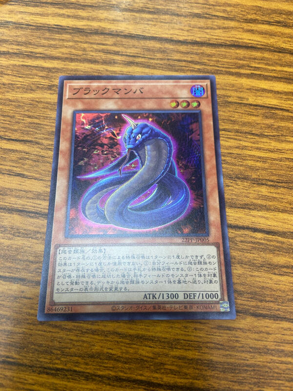 22pp-jp005 黑曼巴蛇 亮面 | 露天市集 | 全台最大的網路購物市集