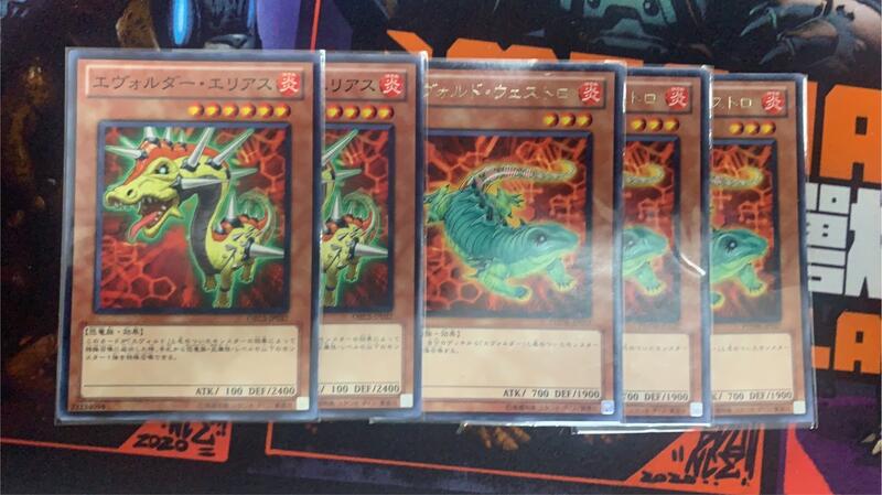 [愛麗絲卡舖] 進化套牌牌組ORCS-JP045 進化帝索德龍 PHSW-JP020角鼻龍 一套共24張 (現貨) | 露天市集 | 全台最大的網路購物市集