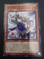 INFO-JP015 白之森 希爾薇 (普卡) | 露天市集 | 全台最大的網路購物市集