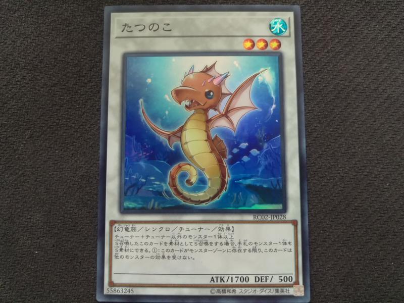 (新世界) RC02-JP028 龍之子 亮面 99-97分 | 露天市集 | 全台最大的網路購物市集