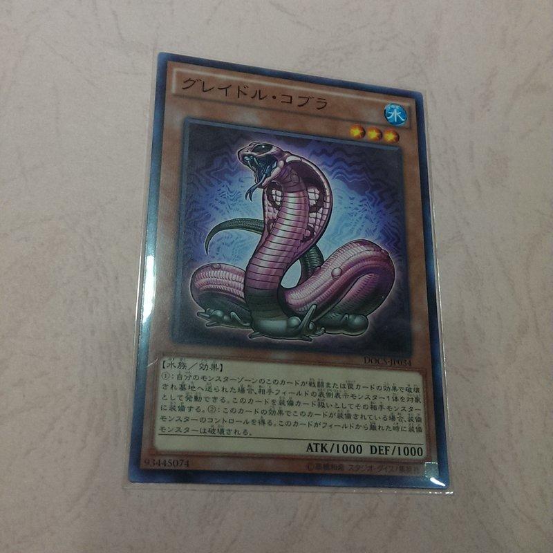 遊戲王 906 DOCS-JP034 灰蠱眼鏡蛇 (普卡) (95分) | 露天市集 | 全台最大的網路購物市集
