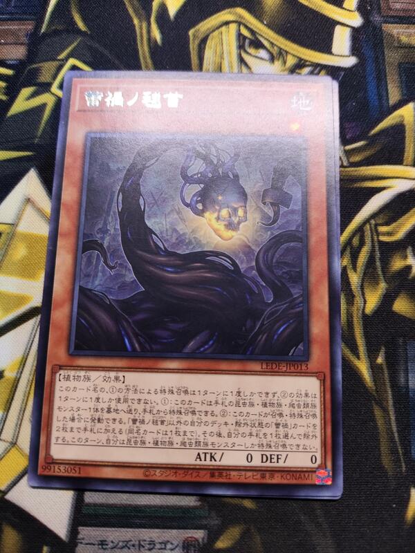 [醬小屋] 遊戲王 LEDE-JP013 蕾禍的毬首 (銀字) | 露天市集 | 全台最大的網路購物市集