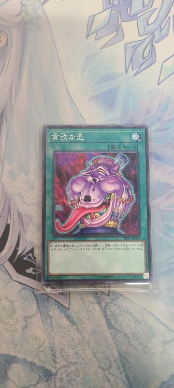 《LN卡鋪》ST17-JP028 SR03-JP032 SR10-JP031 SD37-JP031 貪欲之壺 普卡 | 露天市集 | 全台最大的網路購物市集