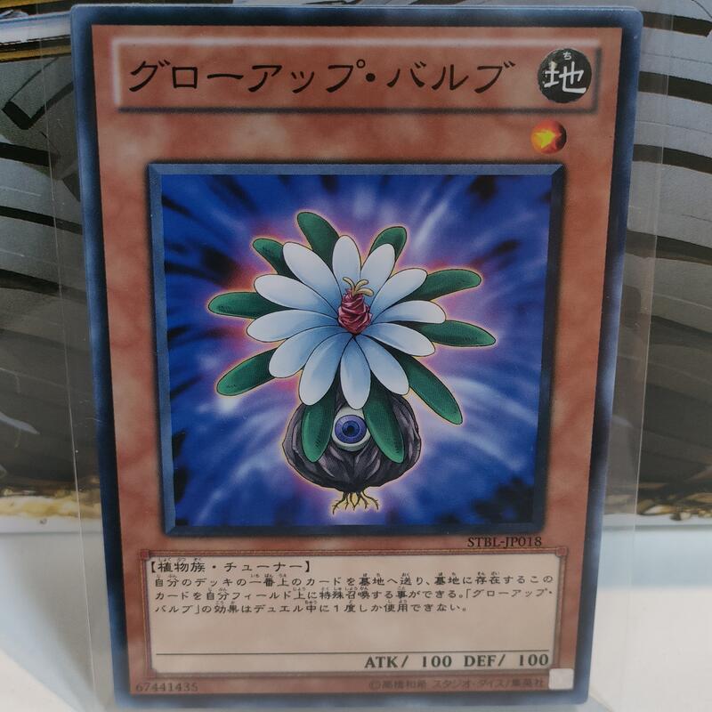 BK* 98.99 遊戲王 STBL-JP018 SD32-JP021 成長球莖(普卡)#4 | 露天市集 | 全台最大的網路購物市集