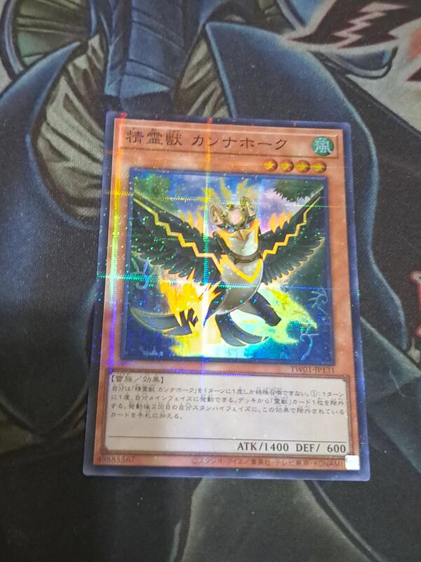 {DARK拍賣}遊戲王-亮面 全鑽 TW01-JP131 精靈獸 雷鷹 | 露天市集 | 全台最大的網路購物市集