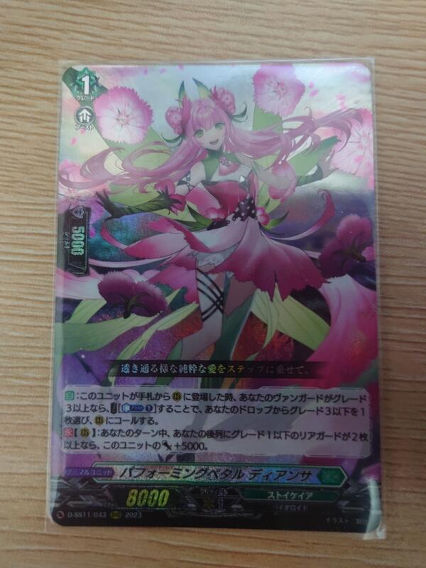 丁)「JY卡鋪」VG先導者 D-SS11/043 RRR | 露天市集 | 全台最大的網路購物市集