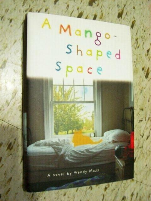 【原文書】《芒果貓 精裝版 A Mango-Shaped Space (Hardcover)》by Wendy Mass | 露天市集 | 全 ...