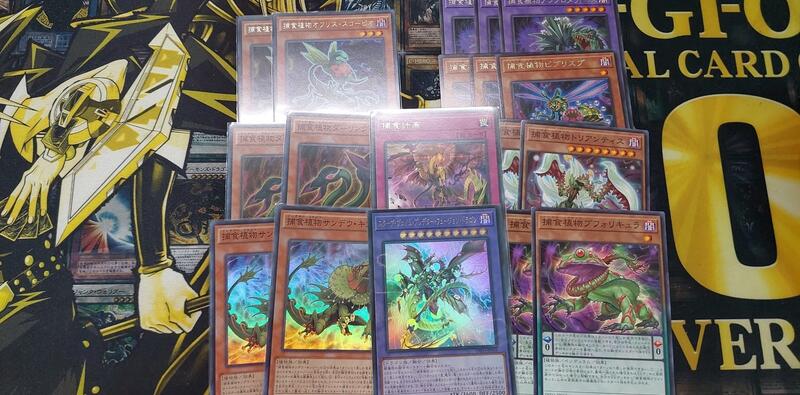 [九四賣客] DIFO 捕食植物 JP036 019 037 DP22 銀字 SPFE-JP005 MACR-JP009 | 露天市集 | 全台最大的網路購物市集