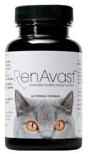 現貨~RenAvast 胺腎 貓或小型犬適用 | 露天市集 | 全台最大的網路購物市集