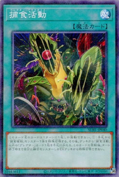 【樂遊wow】日紙 SUB1-JP040 捕食活動 (普鑽) | 露天市集 | 全台最大的網路購物市集