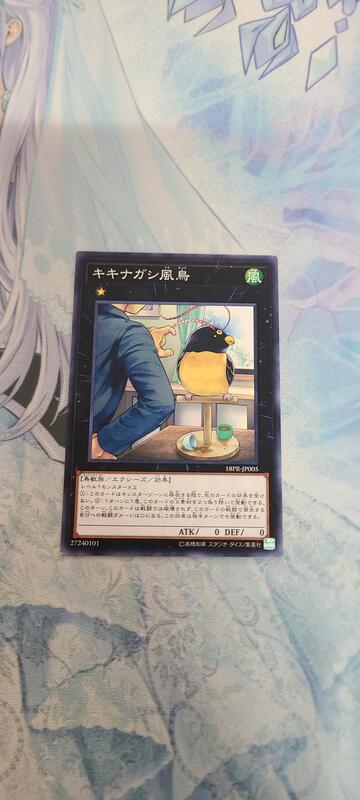 《LN卡鋪》18PR-JP005 耳邊風鳥 (普卡) 搜17PR-JP010 | 露天市集 | 全台最大的網路購物市集