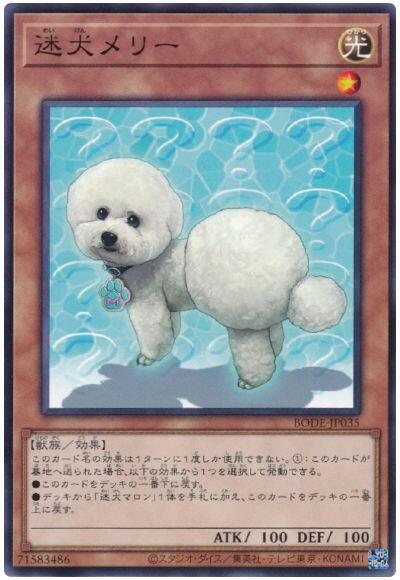 【CardMaster】遊戲王 BODE-JP035 迷犬瑪莉 (隱普) | 露天市集 | 全台最大的網路購物市集