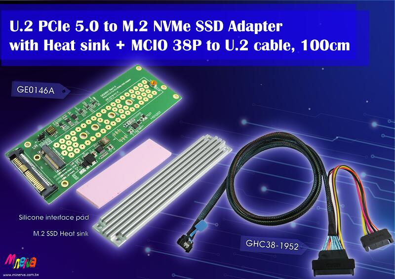 U.2 PCIe 5.0 to M.2 NVMe SSD+ MCIO 38P to U.2 cable,100cm | 露天市集 | 全台最大 ...