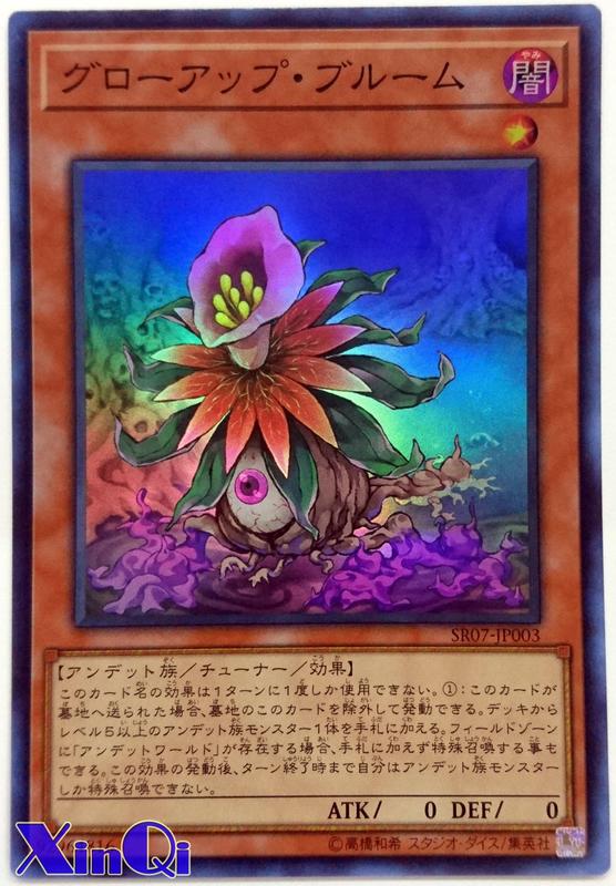 【Xin Qi】遊戲王 SR07-JP003 成長花朵 (亮面) | 露天市集 | 全台最大的網路購物市集
