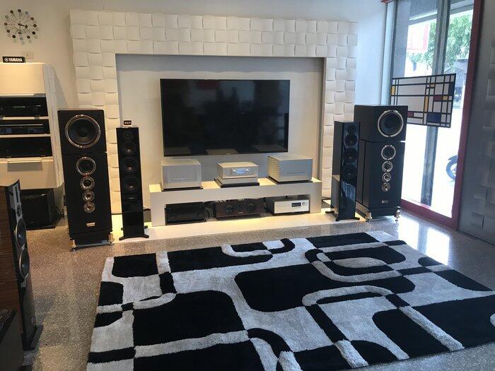 強崧音響 DYNAUDIO Confidence C20 | 露天市集 | 全台最大的網路購物市集