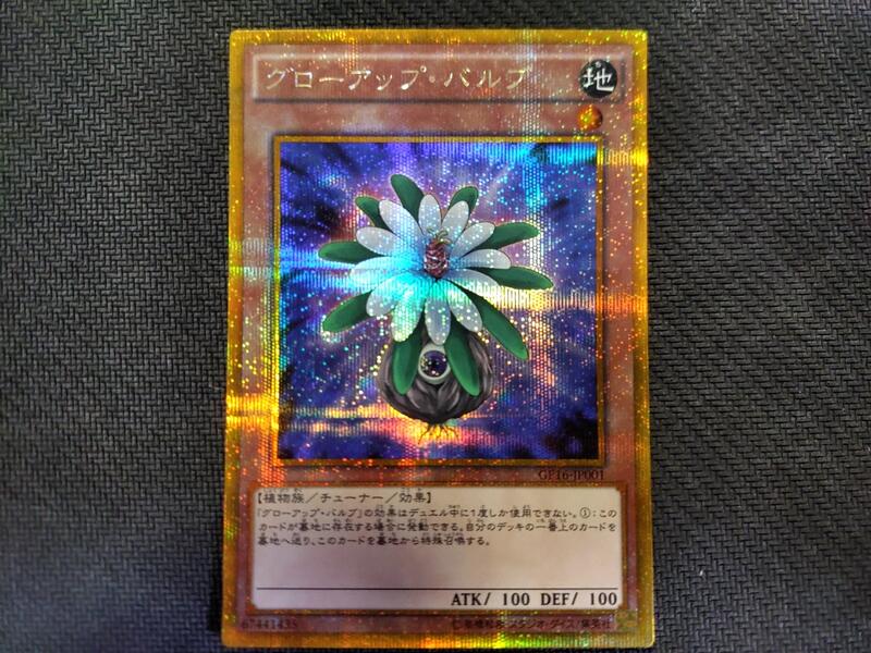 (新世界) GP16-JP001 成長球莖 黃金半鑽 98-90分 | 露天市集 | 全台最大的網路購物市集