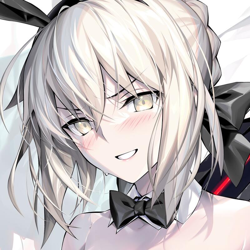 Mine公仔 日版 C104 Fate FGO Saber 黑賽巴 兔女郎 抱枕套 等身大 枕頭套 光崎 GH.K | 露天市集 | 全台最大的網路購物市集