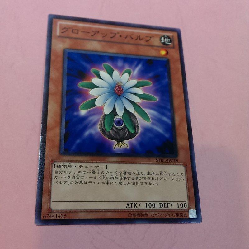 遊戲王現貨18SP-JP302 SD32-JP021STBL-JP018成長球莖 球莖(普卡)(95分)不限版本 | 露天市集 | 全台最大的網路購物市集