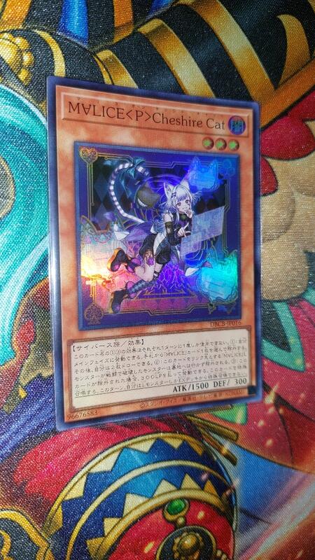 ☠星塵x玥☠ DBCB-JP016 碼麗絲＜士兵＞柴郡貓 (亮面) B | 露天市集 | 全台最大的網路購物市集