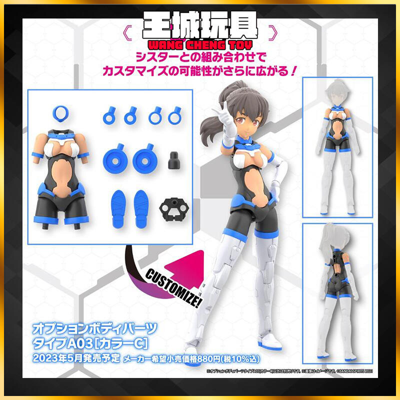 【大頭宅30MS 組裝少女輕作戰 身體配件套組 TYPE S04 [顏色C] | 露天市集 | 全台最大的網路購物市集
