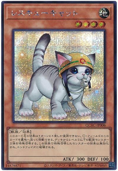 【樂遊wow】韓紙 QCAC-JP006 救援貓 (異圖.半鑽) | 露天市集 | 全台最大的網路購物市集