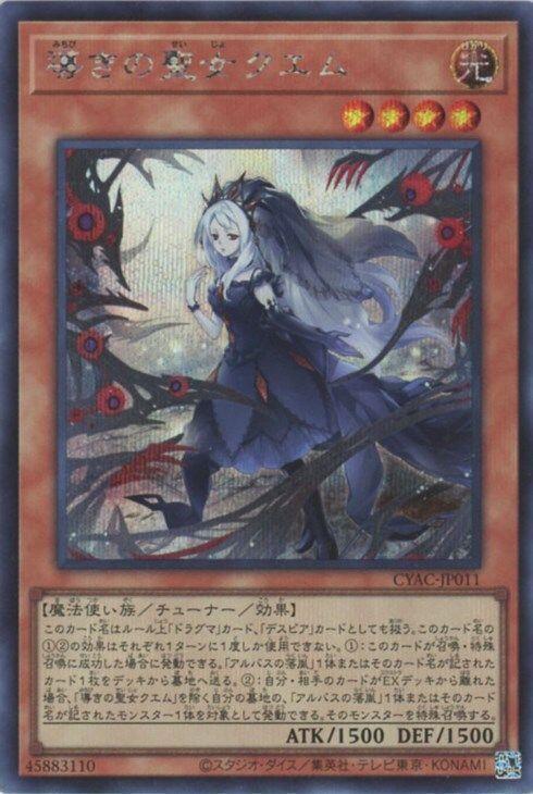 【樂遊wow】韓紙 CYAC-JP011 引導的聖女 庫埃姆 (半鑽) | 露天市集 | 全台最大的網路購物市集