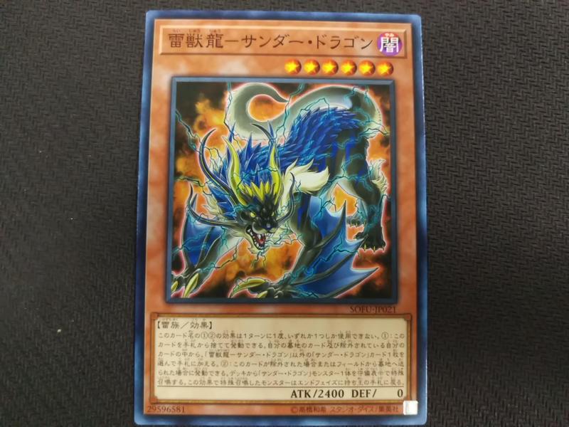 (新世界) SOFU-JP021 雷獸龍 雷龍 普卡 99-95分 | 露天市集 | 全台最大的網路購物市集