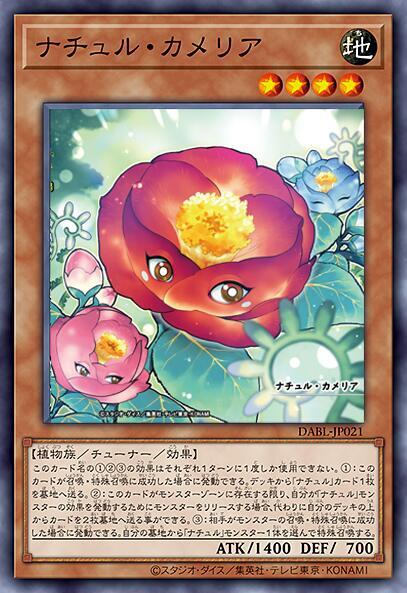 APP STORE ~ DABL-JP021 自然山茶花(普卡) | 露天市集 | 全台最大的網路購物市集