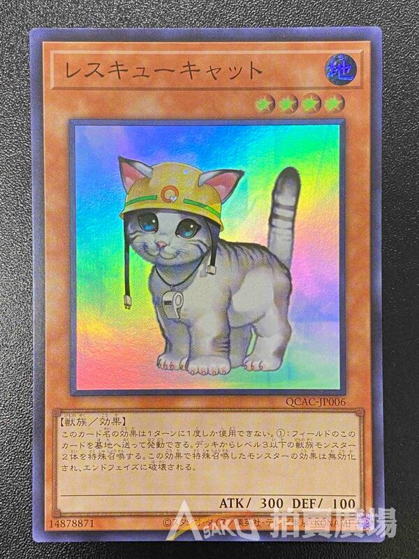 [ Asaku ] 遊戲王 韓紙 亮面 QCAC-JP006 救援貓 | 露天市集 | 全台最大的網路購物市集