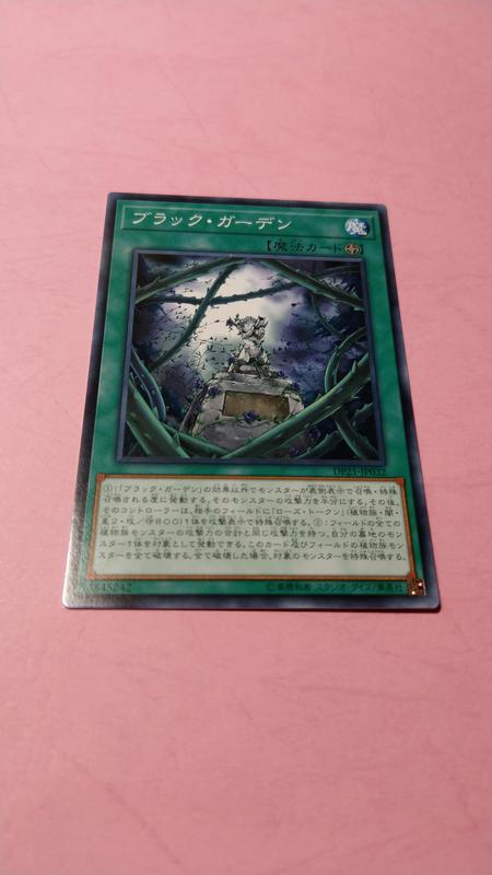 遊戲王 代賣 DP21-JP032 黑色花園 (普卡) 搜尋CSOC-JP048 DE03-JP056 | 露天市集 | 全台最大的網路購物市集