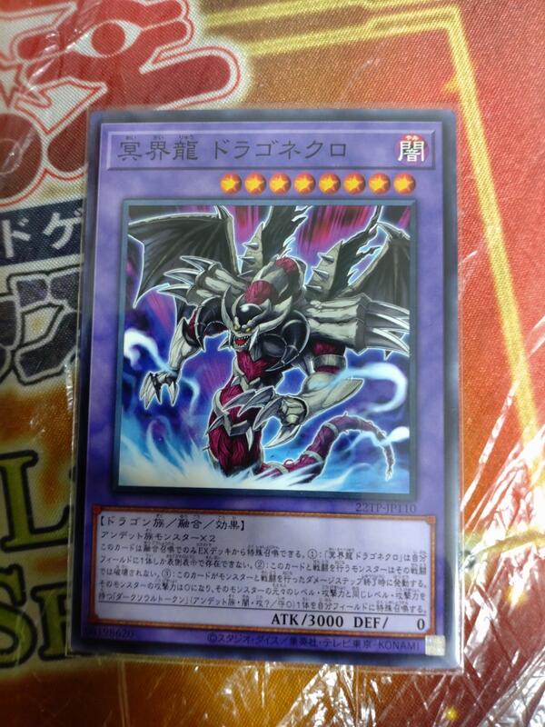 22TP-JP110 冥界龍龍亡 普卡 | 露天市集 | 全台最大的網路購物市集