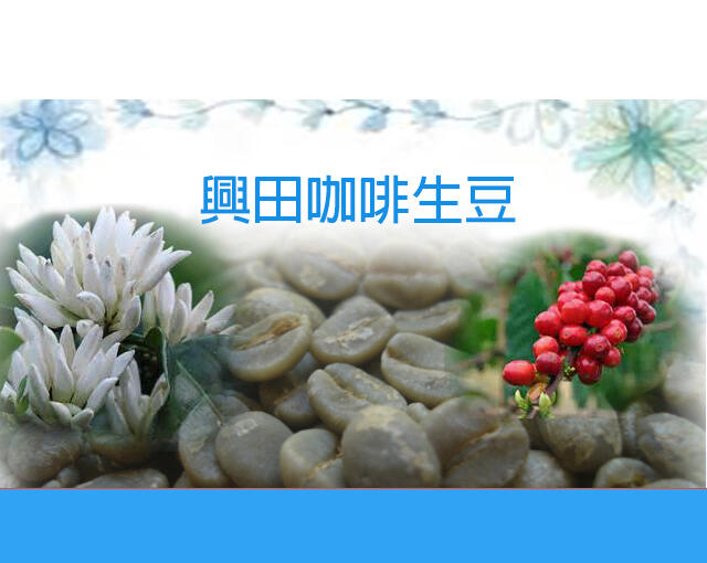 水洗谷吉G1 莉秋桃可處理場 特高海拔2500公尺批次 衣索比亞 烏拉嘎鎮【每包500公克】【興田咖啡生豆】 | 露天市集 | 全台最大的網路購物市集