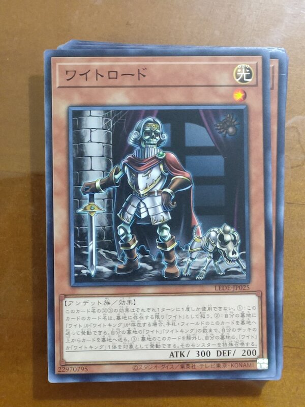 [sw9124賣場] LEDE-JP025 白骨領主（普卡） | 露天市集 | 全台最大的網路購物市集