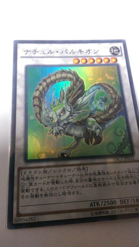 胖胖小舖 TRC1-JP032 自然神龍 亮面 | 露天市集 | 全台最大的網路購物市集