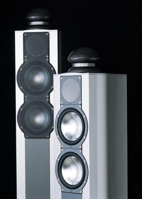 [ 沐耳 ] 德國精品 ELAC 舊次旗艦型號 FS608 4PI 高音搭載，可 Bi-Wire（贈：沐耳無氧紅銅跳線） | 露天市集 | 全 ...