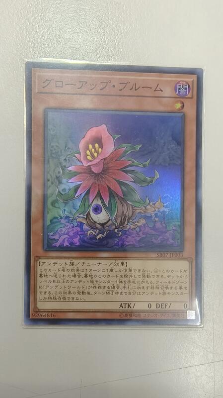 《阿綠TCG》遊戲王 SR07-JP003 成長花朵 (亮面) | 露天市集 | 全台最大的網路購物市集