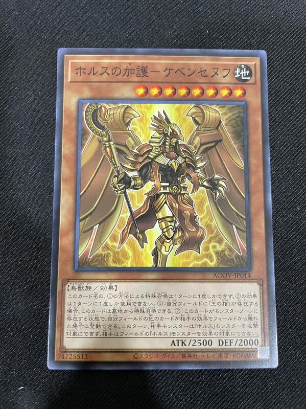 〔GR拍賣〕韓紙 1202 AGOV-JP014 荷魯斯的加護 凱布山納夫 普卡 95分 | 露天市集 | 全台最大的網路購物市集