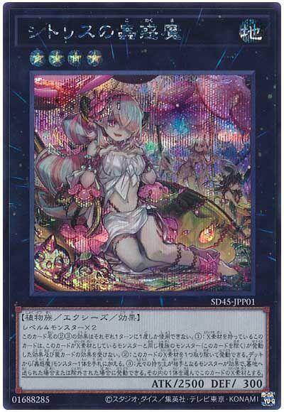 【CardMaster】遊戲王 SD45-JPP01 捕蟲菫之蟲惑魔 (半鑽) | 露天市集 | 全台最大的網路購物市集