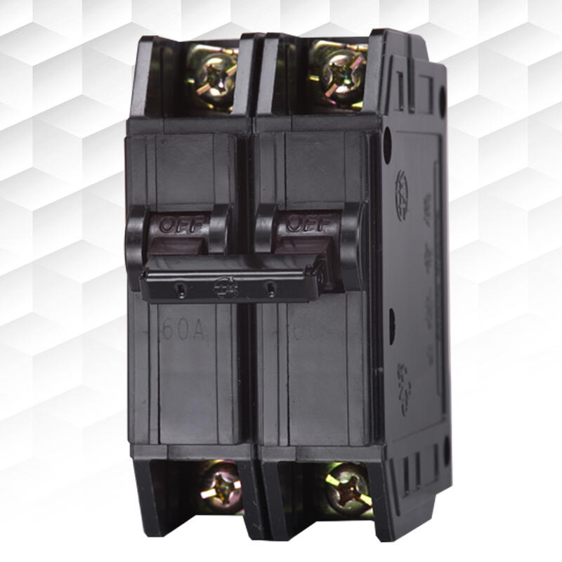 士林 BHU 2P 15A 20A 30A 40A 50A 220V/10kA 無熔絲斷路器 無熔線斷路器 分電盤用 | 露天市集 | 全台最大的網路購物市集