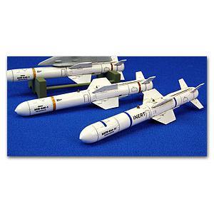 KASL 1/48 美國 AGM-84G-1空射型魚叉飛彈改裝套件 (K48084) | 露天市集 | 全台最大的網路購物市集