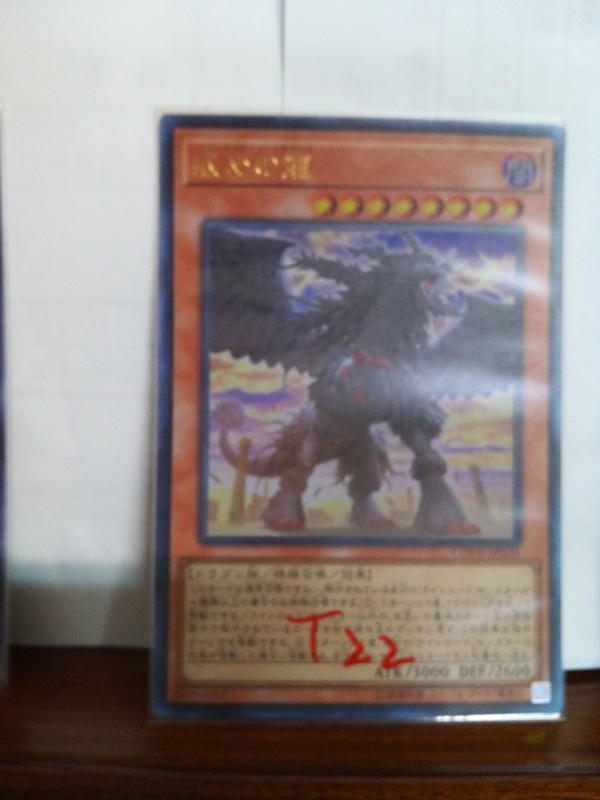 遊戲王COTD-JP028懲戒之龍 金亮T22 會換上新卡套 | 露天市集 | 全台最大的網路購物市集