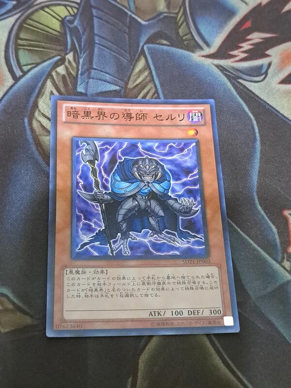 {DARK拍賣}遊戲王-亮面 SD21-JP003 暗黑界的導師賽爾利 (皓) (D) | 露天市集 | 全台最大的網路購物市集