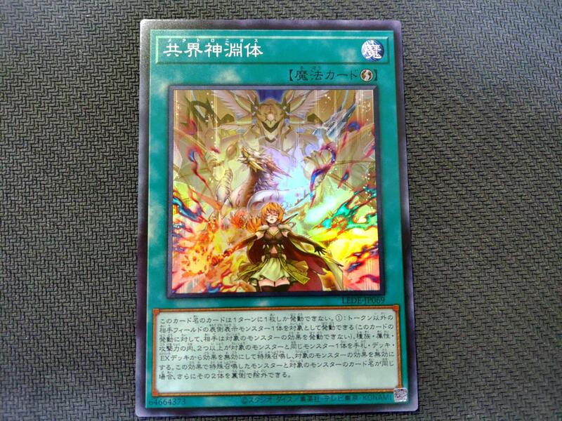 (新世界) LEDE-JP069 共界神淵體 亮面 99-95分 | 露天市集 | 全台最大的網路購物市集