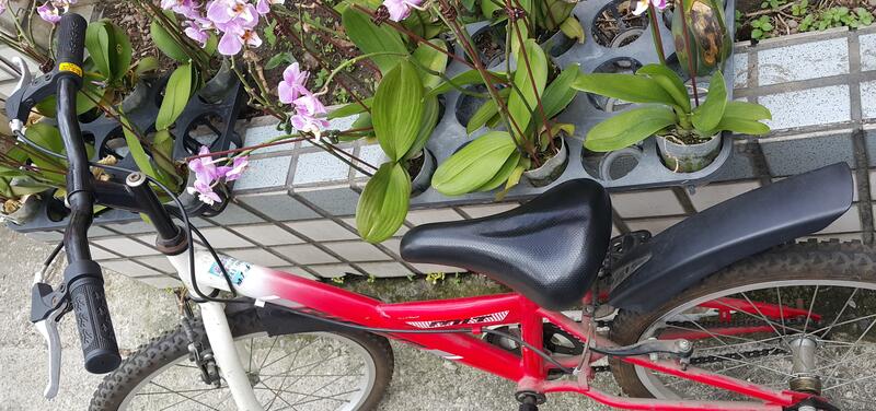 報廢腳踏車~MIT RIOER 童車 低跨點 登山越野車~請自行整修/僅限自取~ | 露天市集 | 全台最大的網路購物市集