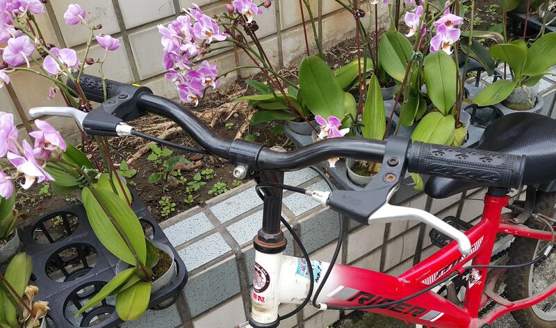 報廢腳踏車~MIT RIOER 童車 低跨點 登山越野車~請自行整修/僅限自取~ | 露天市集 | 全台最大的網路購物市集