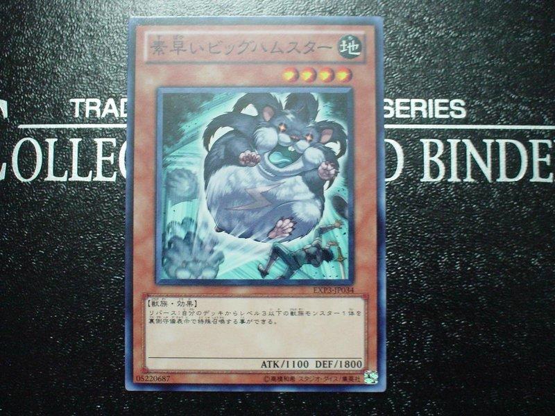 $Original$ 遊戲王卡片 全新 EXP3-JP034 素早的大倉鼠 普卡 | 露天市集 | 全台最大的網路購物市集